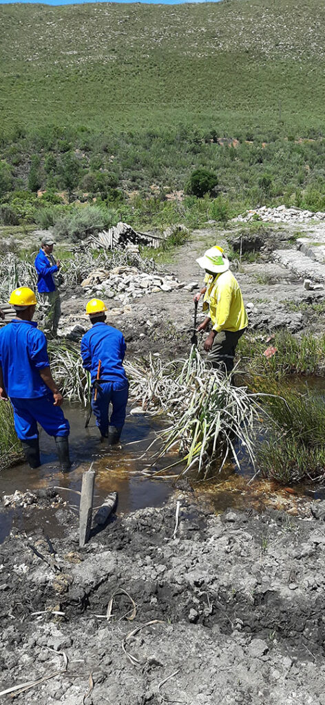 A programme to secure more runoff to major Eastern Cape dams is proving ...